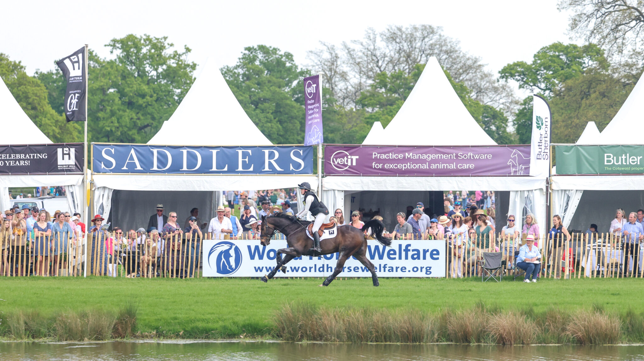 Pale Fencing - Torry Hill Chestnut Fencing