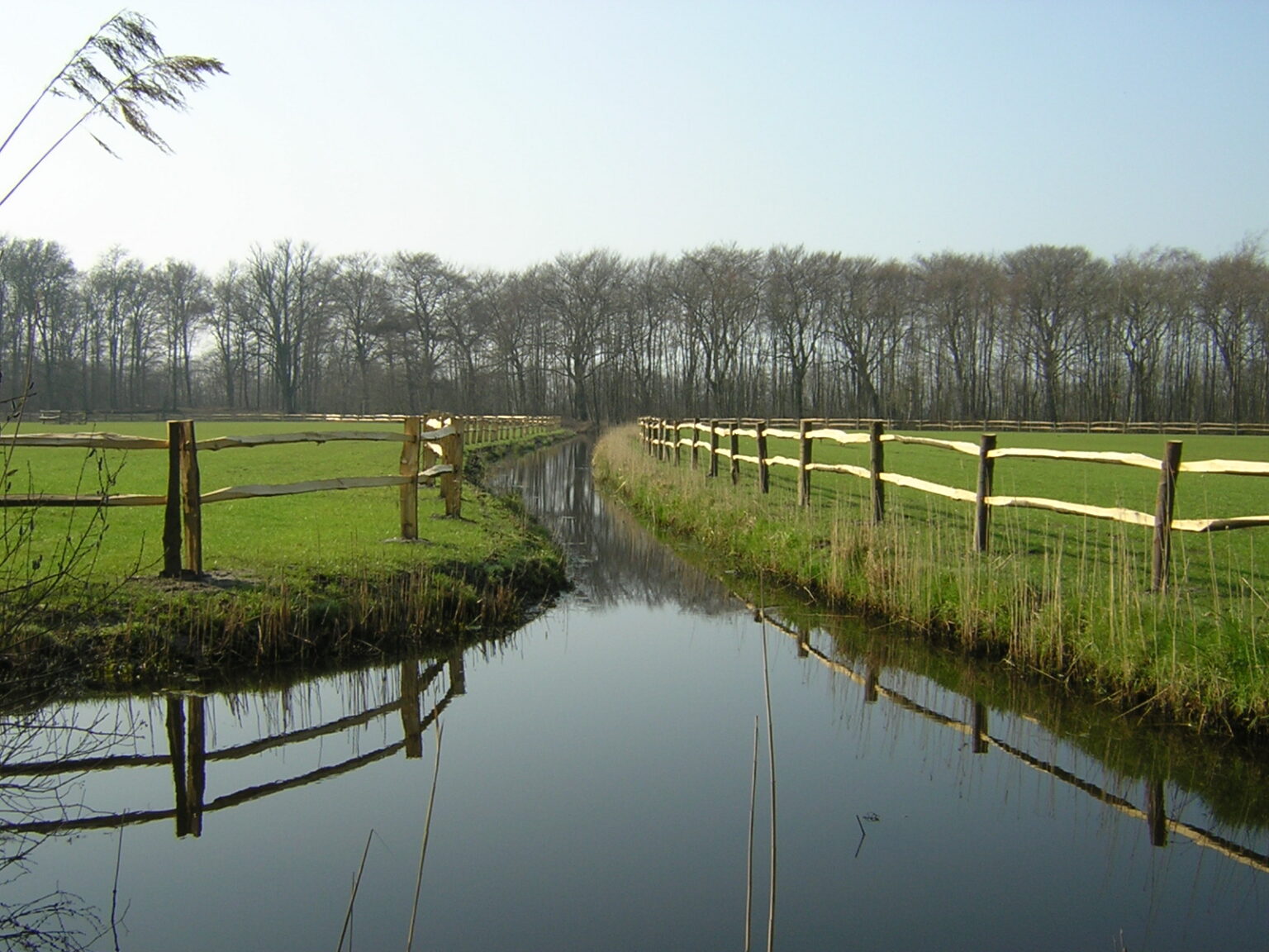 Post & Rail Fencing - Torry Hill Chestnut Fencing