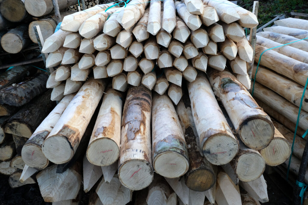 Pale Fencing - Torry Hill Chestnut Fencing