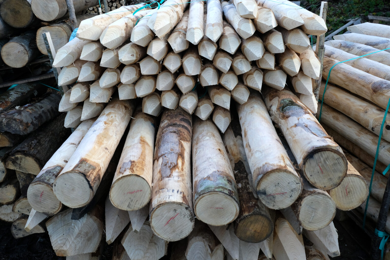 Chestnut Posts - Torry Hill Chestnut Fencing