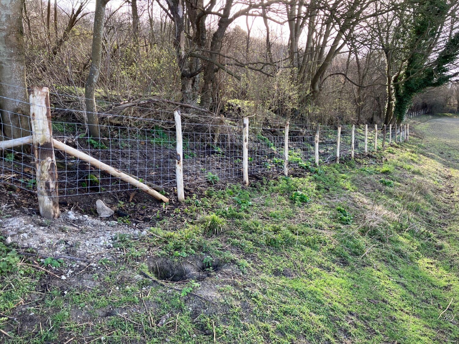 Chestnut Posts - Torry Hill Chestnut Fencing