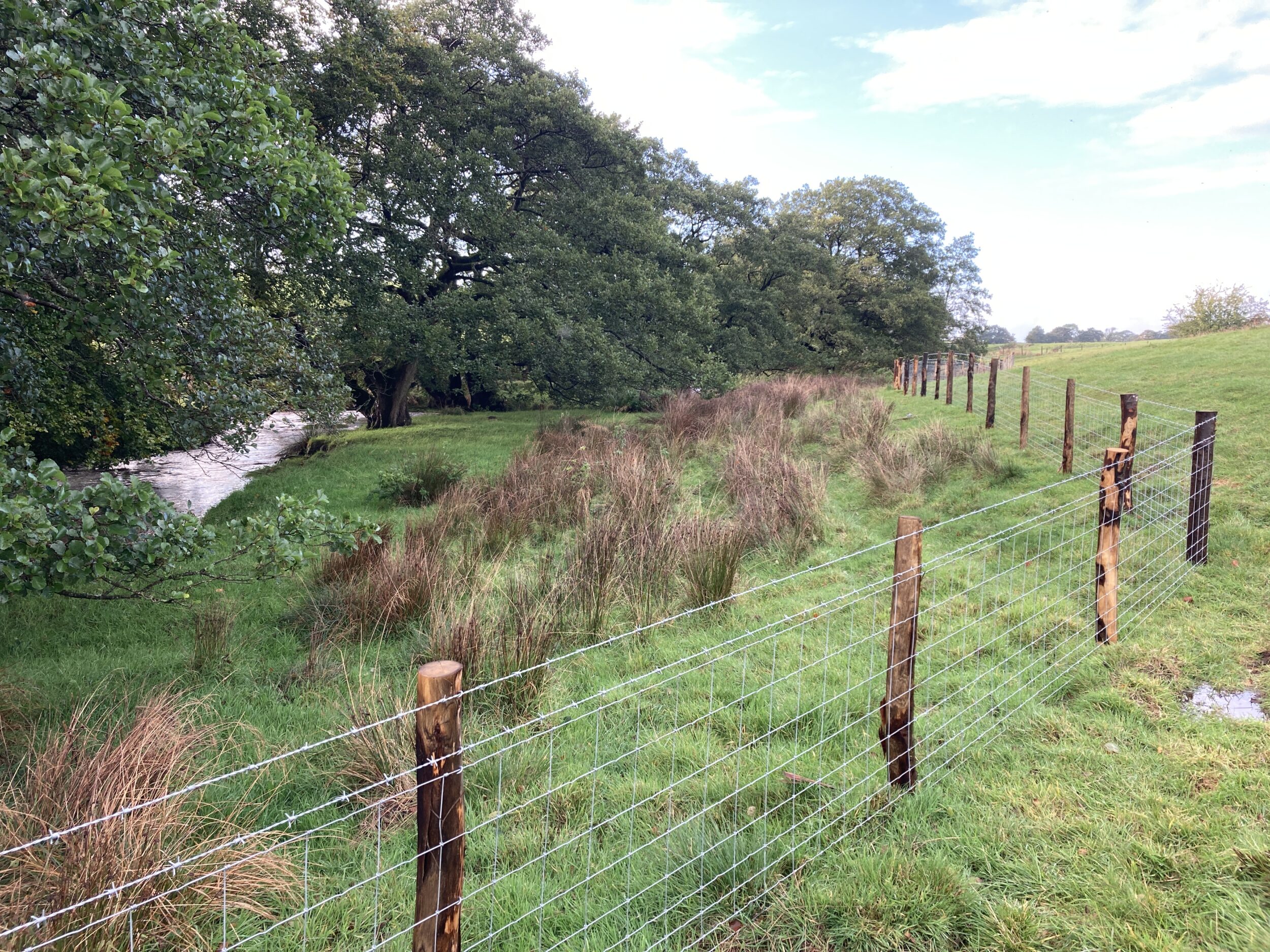 Chestnut Posts - Torry Hill Chestnut Fencing