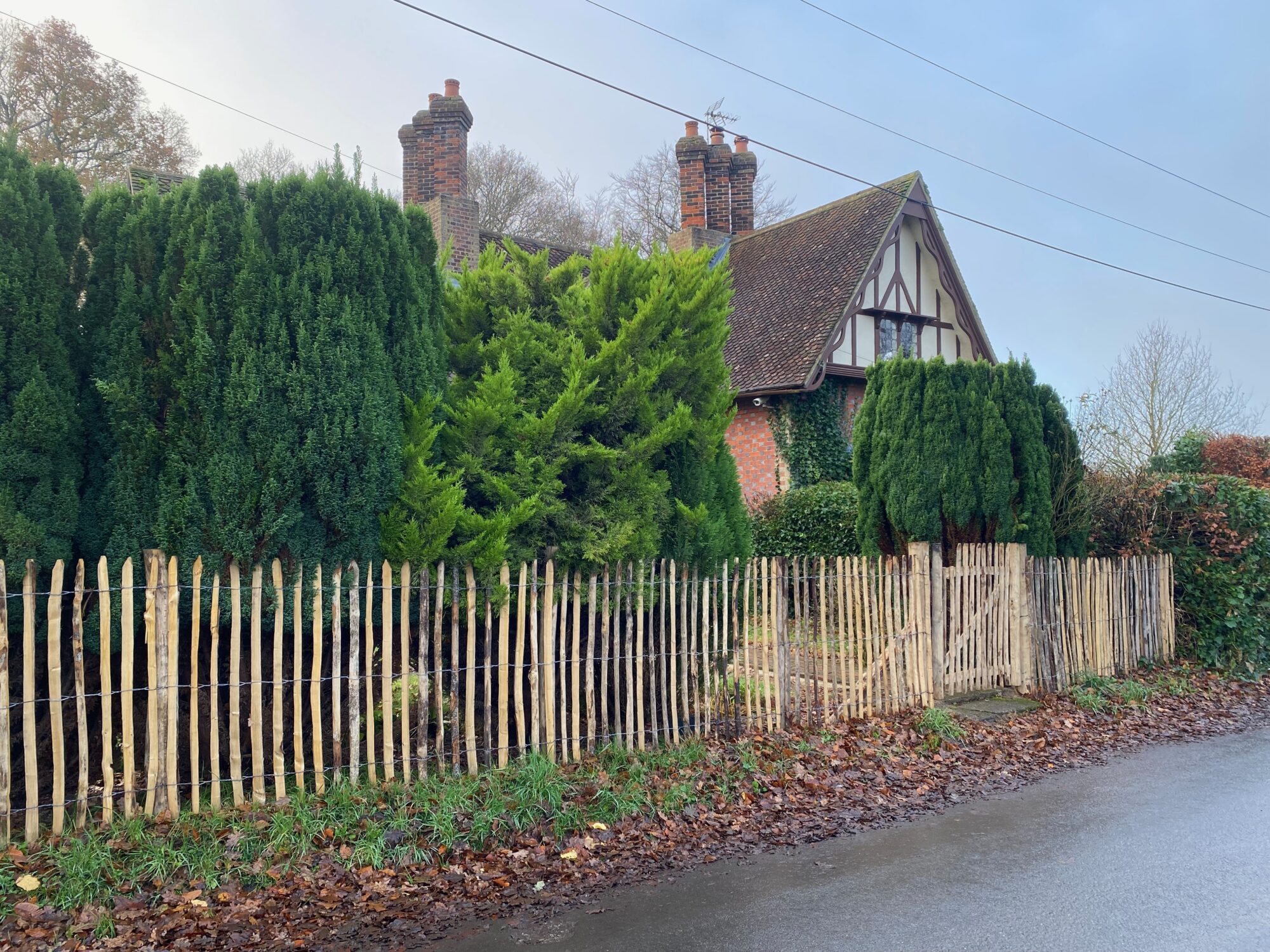 Pale Fencing - Torry Hill Chestnut Fencing