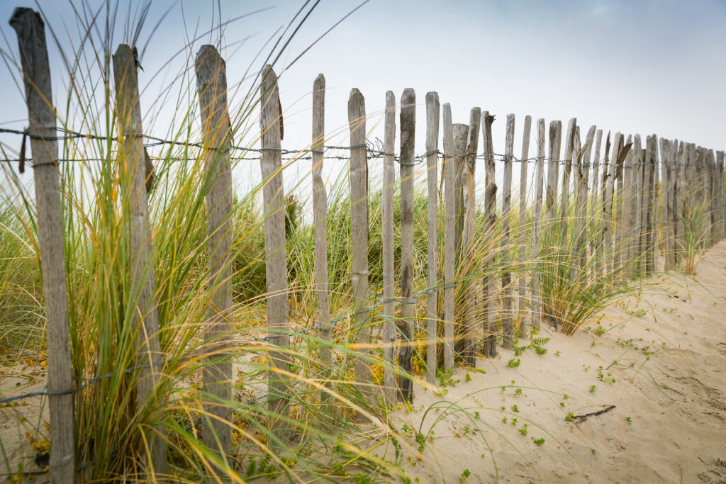 Pale Fencing - Torry Hill Chestnut Fencing