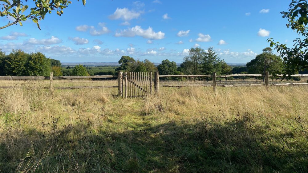 Chestnut Posts - Torry Hill Chestnut Fencing