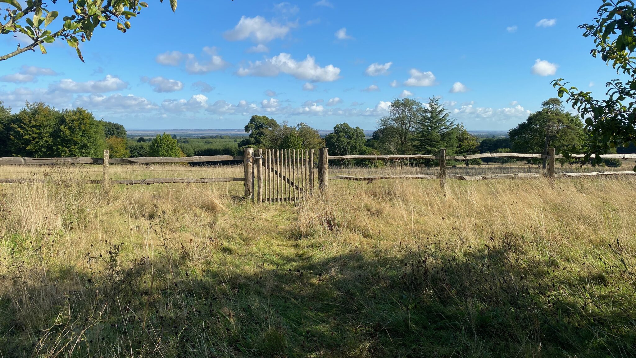 Chestnut Posts - Torry Hill Chestnut Fencing