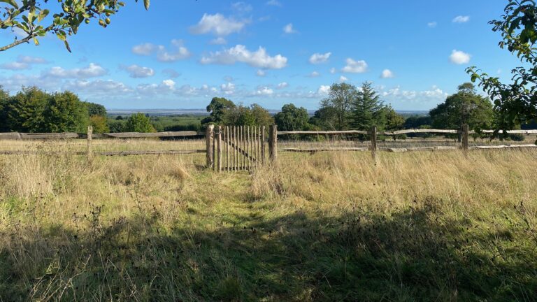 Chestnut Posts - Torry Hill Chestnut Fencing
